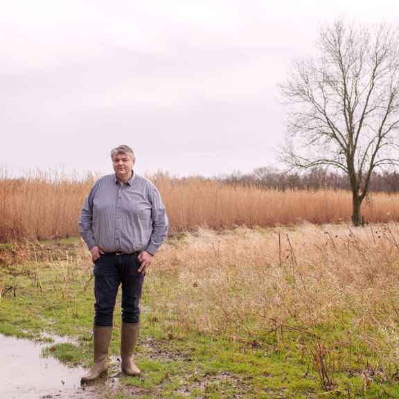 Boeren oogsten huizen: de keten van biobased bouwmateriaal | Triodos Bank