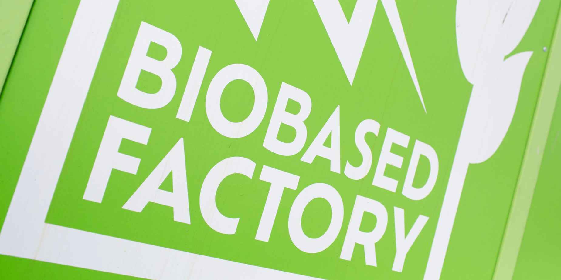 Boeren oogsten huizen: de keten van biobased bouwmateriaal | Triodos Bank